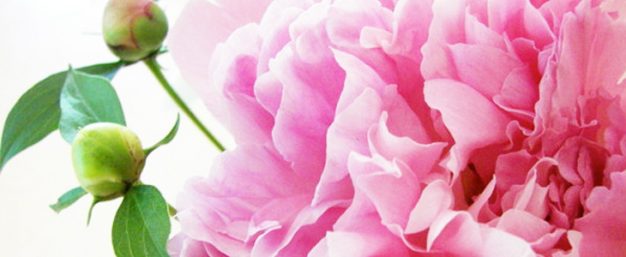 パパジ～「悟りはこの世で一番簡単にできること」 • 地球人のためのスピリチュアル・レッスン • VastStillness